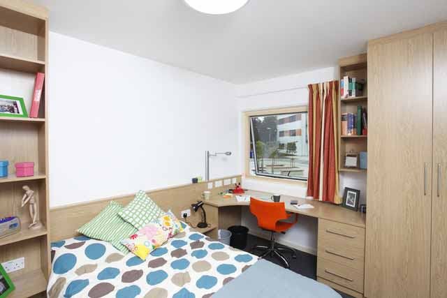 'Premium Ensuite - Mackinder Halls - Reading Uni' Room to Rent from ...