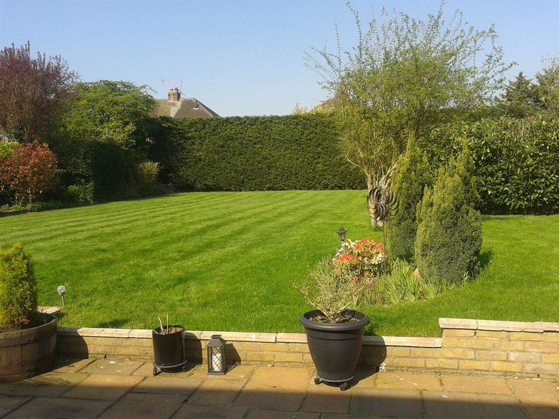 'Female only house double room in Chelmsford' Room to Rent from SpareRoom