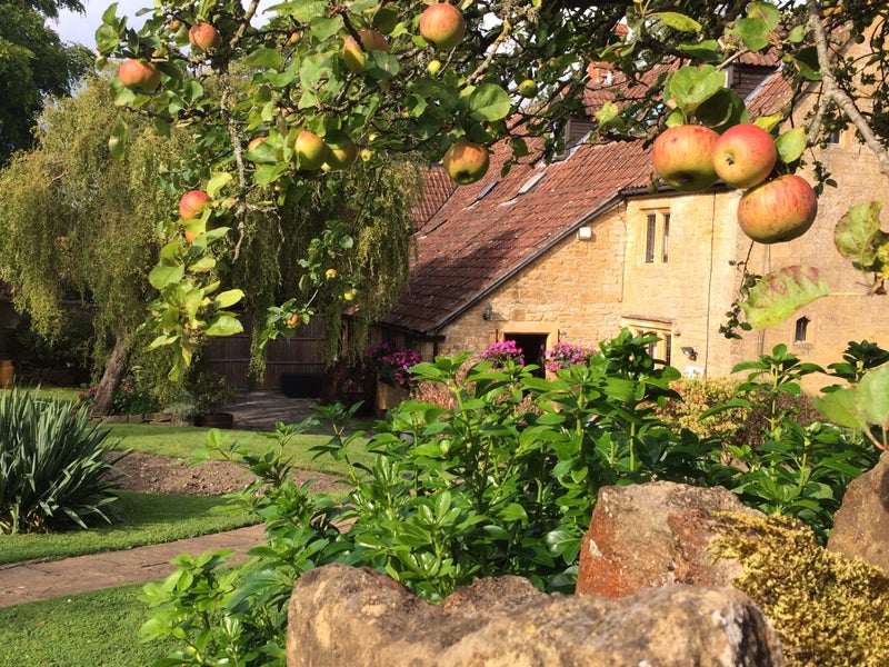 'Double Room in Stunning Hamstone House - Yeovil' Room to Rent from ...