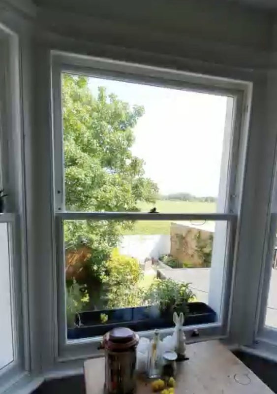 'Sunny Large 1 Bed Flat overlooking Wanstead Flats' Room to Rent from ...