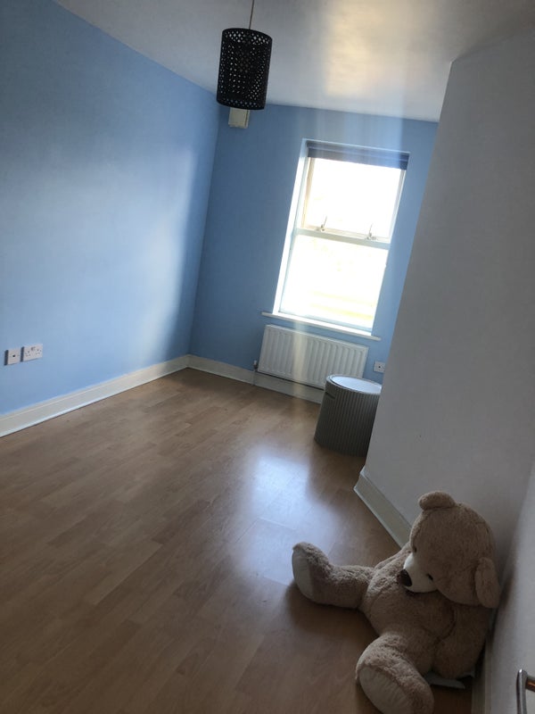'Flatmate wanted ' Room to Rent from SpareRoom