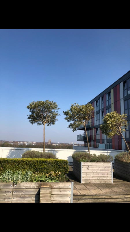 'Matchmakers Wharf -Avail 16th April' Room to Rent from SpareRoom