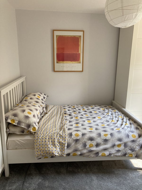 'The Daisy Room in friendly house for a dog lover ' Room to Rent from ...