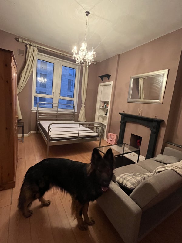 'West End Flat - £680 pcm per room ' Room to Rent from SpareRoom