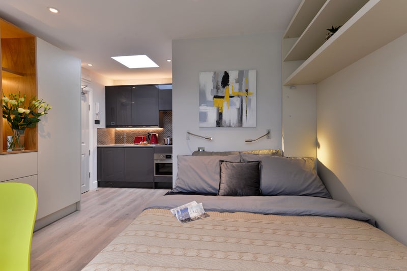 ' Luxury Studio! Zone 1! No Fees! ' Room to Rent from SpareRoom