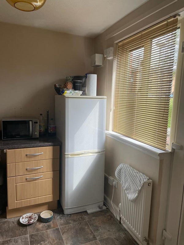 'Cosy Southside flat with quiet nerd' Room to Rent from SpareRoom