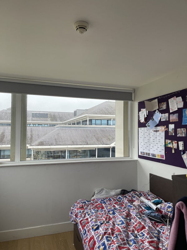 'Student Ensuite Room for Rent' Room to Rent from SpareRoom