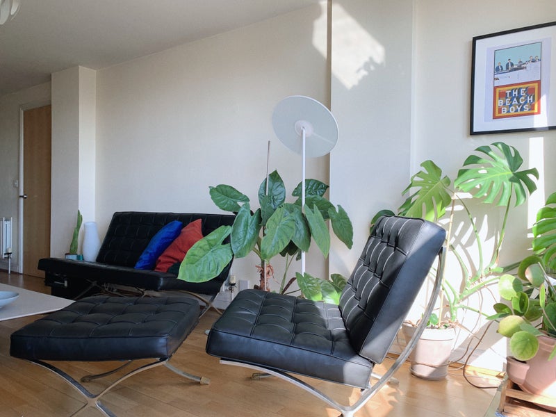 'Double room in Spacious 2-bed flat in SE1' Room to Rent from SpareRoom