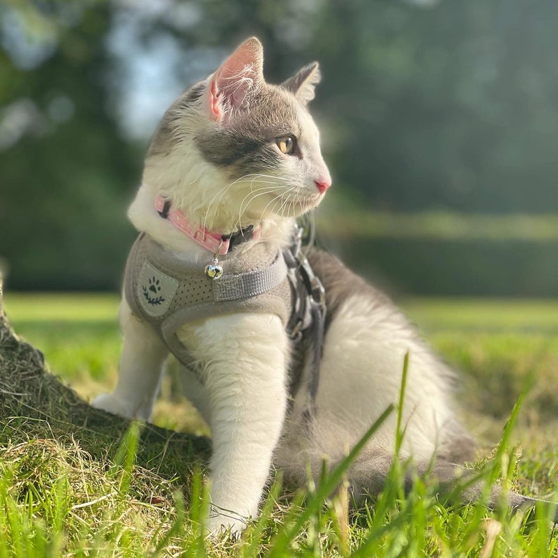 'En-Suite Room/ Studio Flat Wanted Ungently !! ' Flatmate from SpareRoom