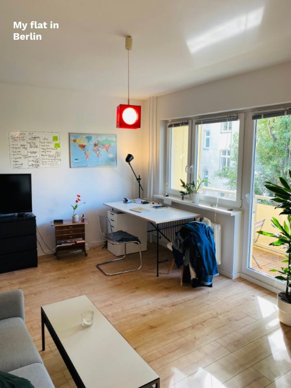 'Sensitive striver looking for a safe&calm home' Flatmate from SpareRoom