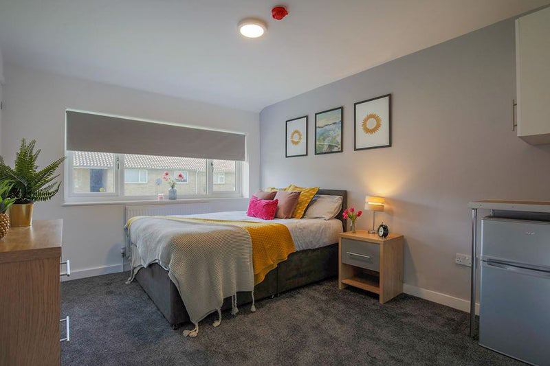 'Free Rooms Available Today' Room to Rent from SpareRoom