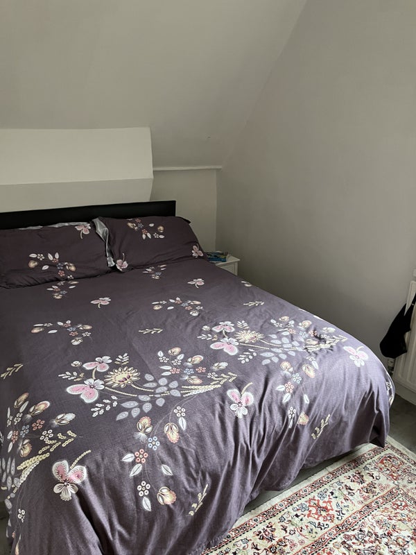 'Miss ' Room to Rent from SpareRoom