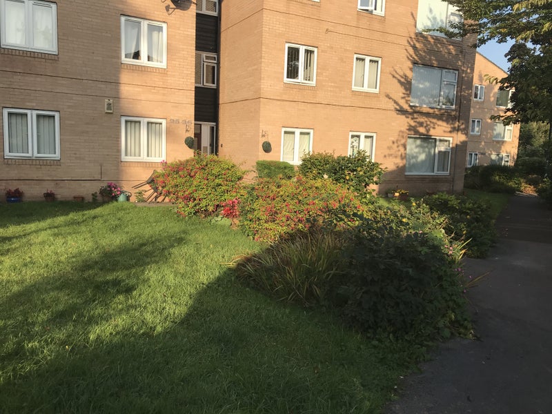 'Lovely cosy flat ' Room to Rent from SpareRoom