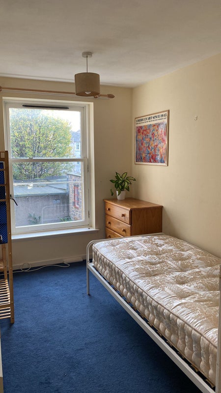 'Single room to rent in Newington *available now*' Room to Rent from ...