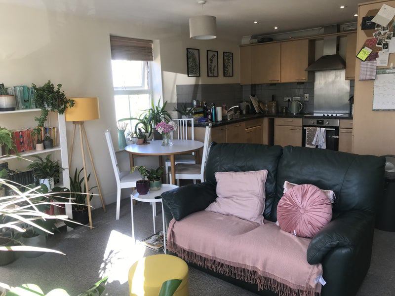 'Double bedroom in modern, sociable flat' Room to Rent from SpareRoom