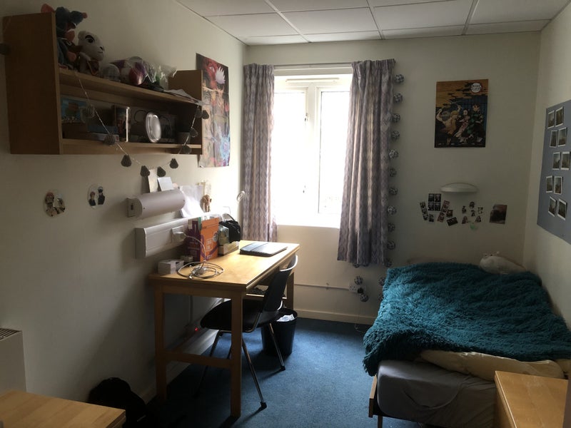 '(Ucl Students Only) Single Room In Schafer House ' Room to Rent from ...
