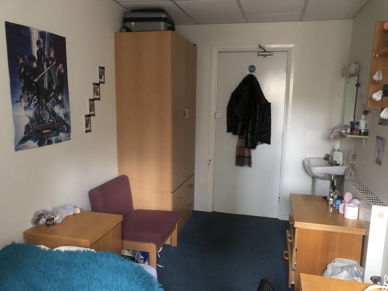 '(Ucl Students Only) Single Room In Schafer House ' Room to Rent from ...