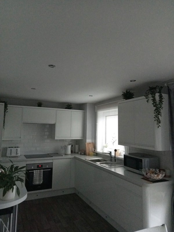 'Professional female lodger' Room to Rent from SpareRoom