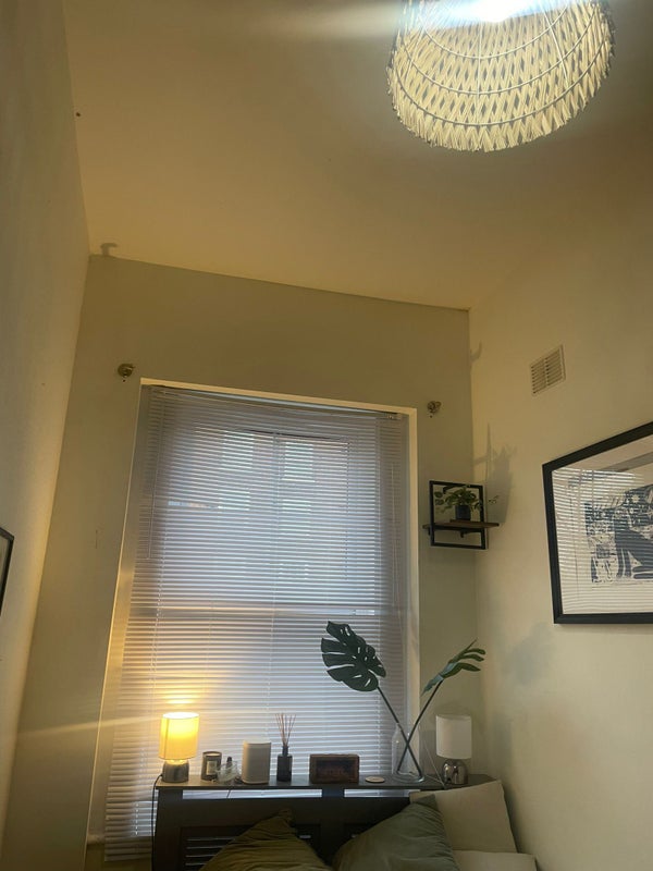 'Lower Clapton cute room, nice area' Room to Rent from SpareRoom