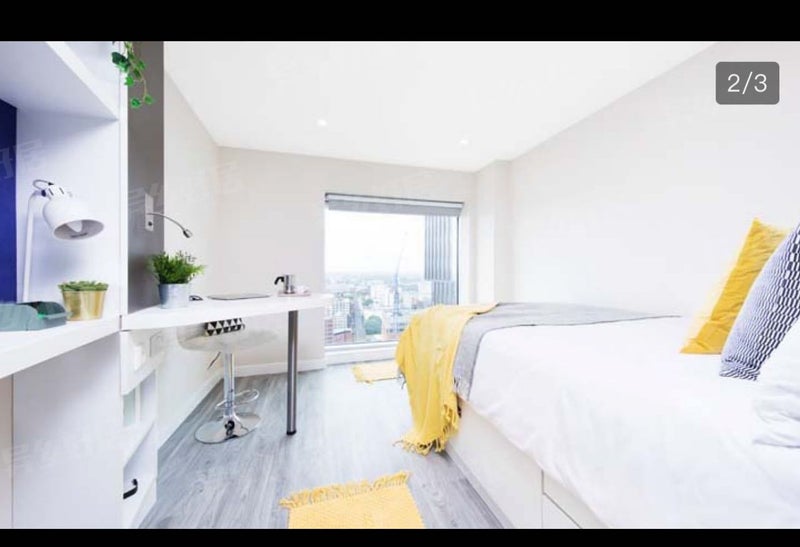 'Fifteenth floor sunrise floor-to-ceiling windows' Room to Rent from ...