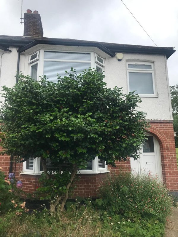 'Double Room to let' Room to Rent from SpareRoom