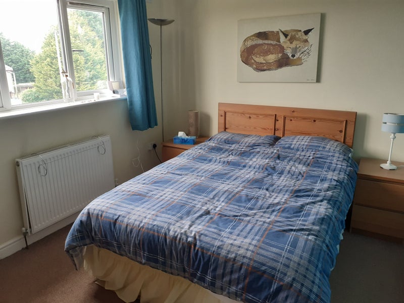 'Lodger wanted ' Room to Rent from SpareRoom