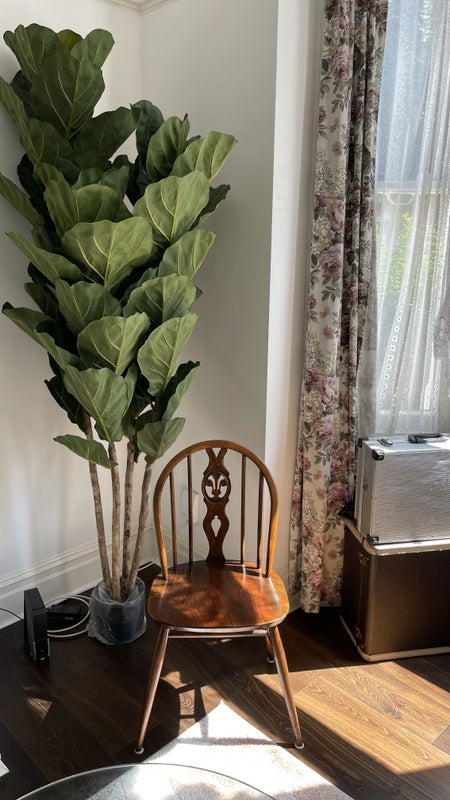 'Airy Double Room. By Clapham Common' Room to Rent from SpareRoom