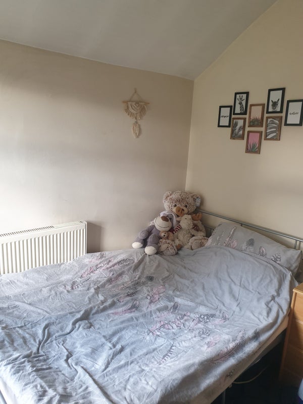 'Friendly house is looking for a female housemate' Room to Rent from ...