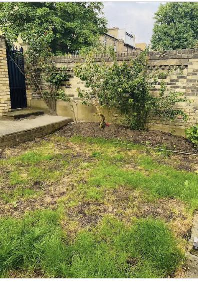 'Charming peaceful flat in the heart of London' Room to Rent from SpareRoom