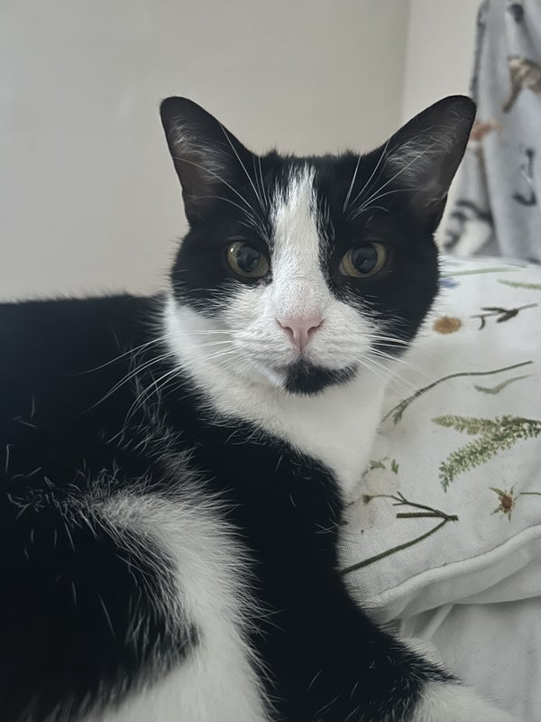 'Young Professional Looking for Housemate ' Room to Rent from SpareRoom