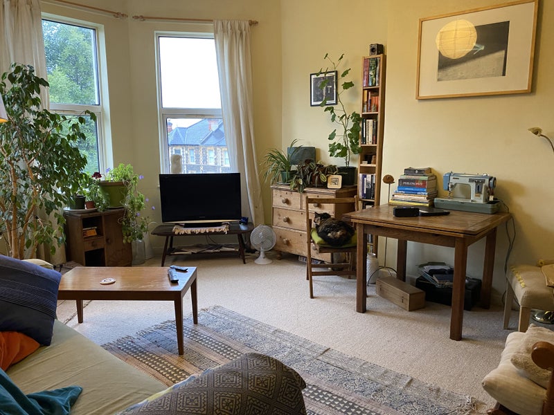 'Seeking Trustworthy and Reliable Lodger' Room to Rent from SpareRoom