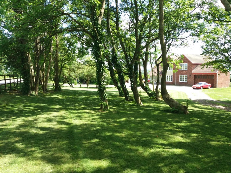 'Driver/ Live In Carer' Flatmate from SpareRoom