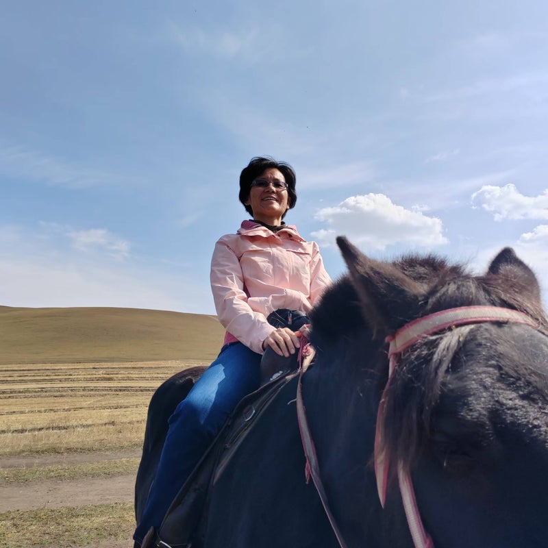 'Homestay Wanted-Chinese Femail' Flatmate from SpareRoom