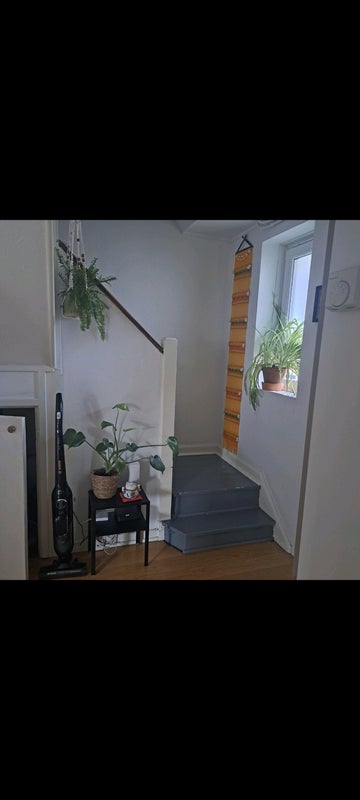 'Spacious double room in a relax Hackney central ' Room to Rent from ...